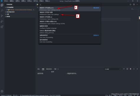 vs code 开发python环境搭建及自动补全设置 python黑洞网