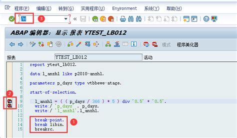 sap abap 断点调试（一）：debug 基础知识 sap系统调试断点 csdn博客