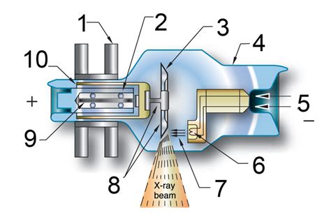 X Ray Tube Diagram Labeled