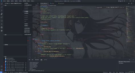 【vscode】python vscode debug 传入参数 vscode debug 参数 csdn博客