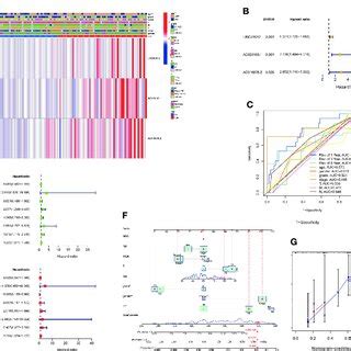 CeRNA Network Construction PPI Network Analysis And Functional