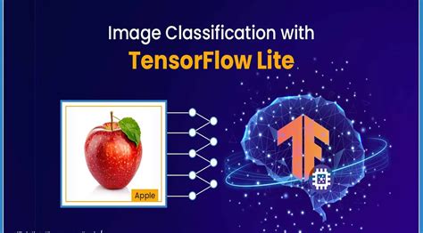 Custom Image Classification On Android Using Tensorflow Lite