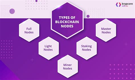 understanding blockchain nodes a comprehensive overview