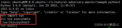 【linux系统下查看python的安装位置】 linux如何查看安装的python包在哪里 csdn博客