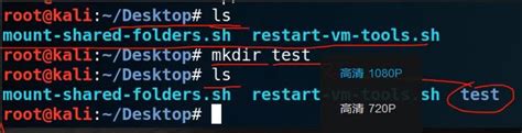 kali linux下的文件操作常用命令 kali文件操作基础学习 纯干货 kali的重命名命令 csdn博客