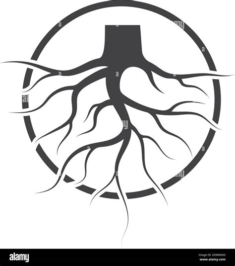 Tree Roots Vector Icon Illustration Design Template Stock Vector Image