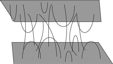 string theory and the discovery of d branes dummies