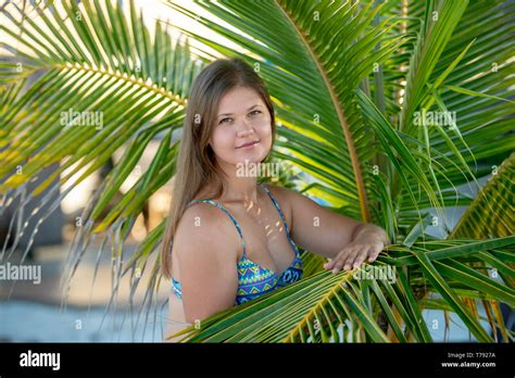 Hübsche Junge Frau In Bikini Stehen Unter Der Palme Am Strand In Florida Usa Stockfotografie