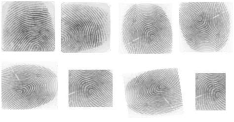 figure 1 from finger print enhancement using minutiae based algorithm semantic scholar