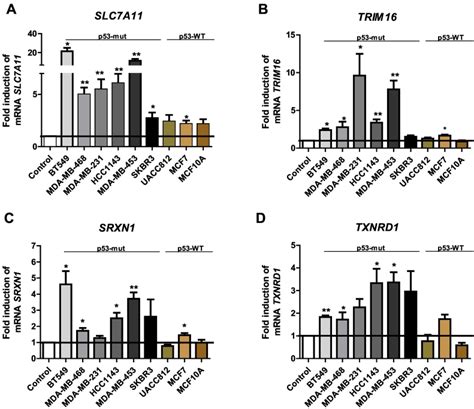 The Mutant P53 Targeting Compound APR 246 Induces ROS Modulating Genes