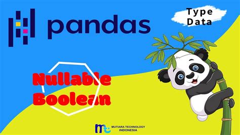 tutorial pandas nullable boolean data type youtube