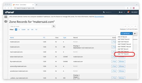How To Add A TXT Record From CPanel With Screenshots Maker S Aid