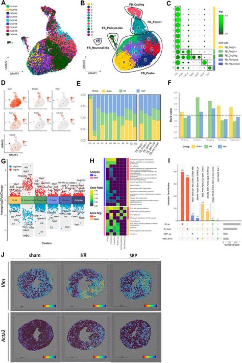 Frontiers Single Nucleus Ribonucleic Acid Sequencing And Spatial