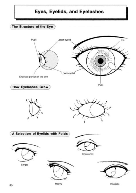 How To Draw Hayashi Hikaru Techniques For Drawing Female Manga C