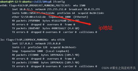 【精选】linux网络编程 addr头文件 csdn博客