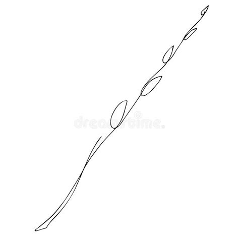 Pussy Willow Branch Silhouette Stock Illustrations 75 Pussy Willow Branch Silhouette Stock