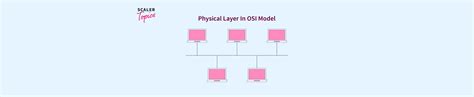 Physical Layer In OSI Model Scaler Topics