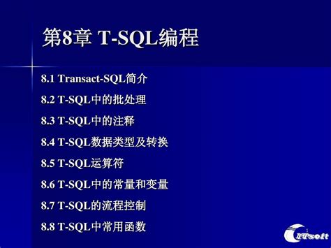 第8章 t sql编程 word文档在线阅读与下载 无忧文档