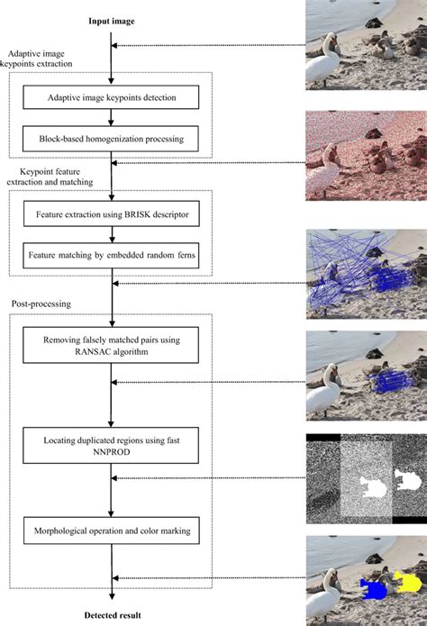 proposed framework for keypoint based copy move forgery detection download scientific diagram