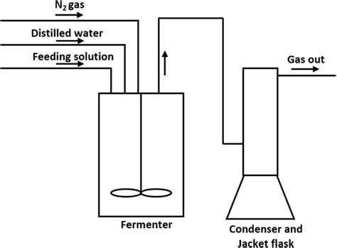 batch fermentation process