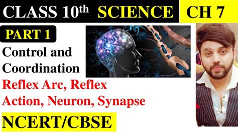 Control And Coordination Class 10 Part 1 Chapter 7 Science