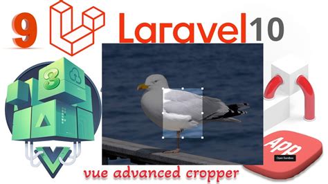 vue advanced cropper Laravel 10 مع vue js 3 YouTube