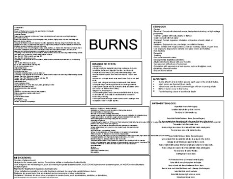 Concept Map For Burns Emelia Morganica