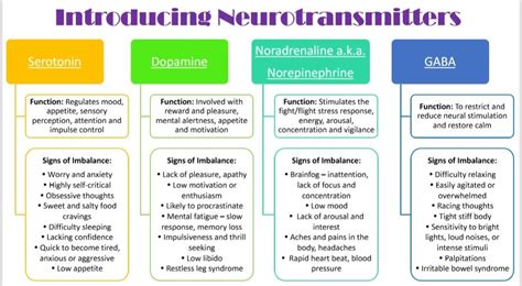 Neurotransmitters And Their Functions Chart