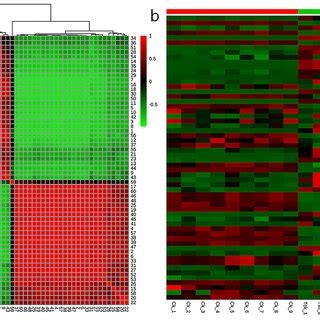 The Hierarchical Clustering Heatmap Visualizing The Changes In The