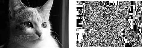 figure 1 from a new approach for enhancing lsb steganography using bidirectional coding scheme