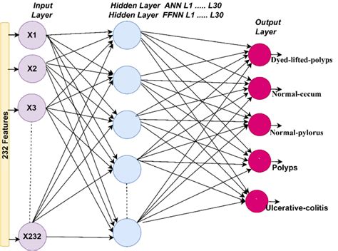 structure of neural network algorithms for classifying the endoscopy download scientific