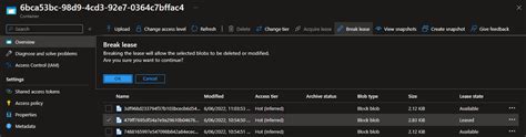 Failed To Persist Terraform State Using An Azure Blob Storage Account