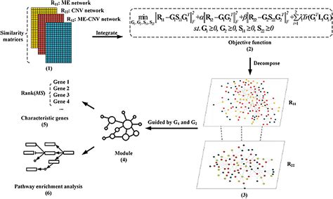 frontiers nmfna a non negative matrix factorization network analysis method for identifying