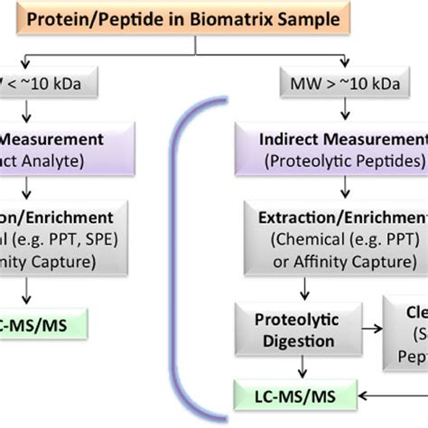 pdf recommendations for validation of lc ms ms bioanalytical methods