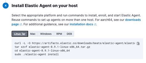 Example Use Standalone Elastic Agent With Elasticsearch Service To