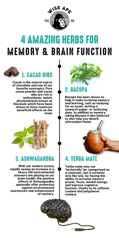 4 Natural Herbs For Brain Health Memory And Cognitive Function In