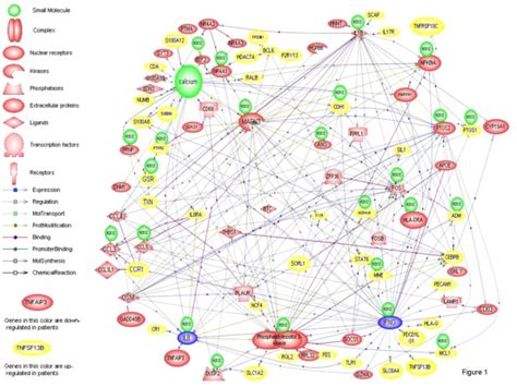 in silico modeling derived from pathway assist software analysis of download scientific diagram