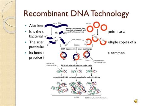 PPT Human Cloning PowerPoint Presentation ID 4921773