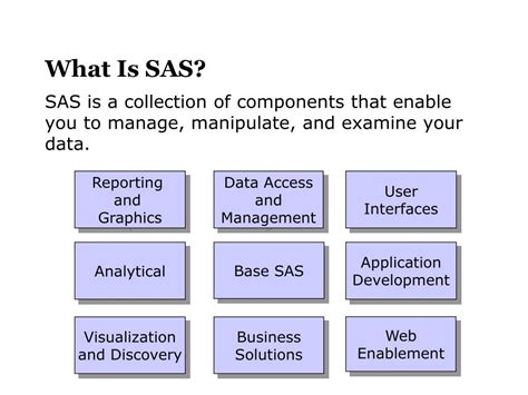 ppt chapter 1 overview of sas system basic concepts of sas system powerpoint presentation