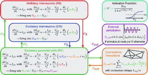 neural mass model with external stimulation a schematic of the neural download scientific