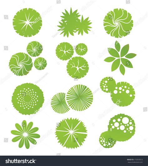 Trees Top View Landscape Design Stock Vector 172553513 Shutterstock