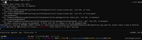 RuntimeError Handle 0 INTERNAL ASSERT FAILED At Opt Conda Conda Bld