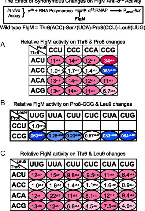 figure 2 from case for the genetic code as a triplet of triplets semantic scholar