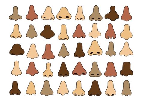 Premium Vector Vector Illustrations Set Of Hand Drawn Human Noses In