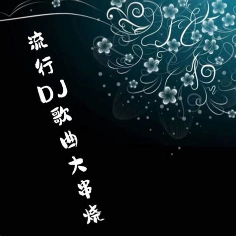 根本你不懂得爱我 DJ版 声音恋人 mp3免费在线下载播放 歌曲宝 找歌就用歌曲宝 MP3音乐高品质在线免费下载