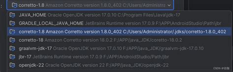 解决问题Unable to make field private final java lang String java io File