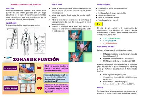 Interpretación de Gases Arteriales nursing cvc uDocz