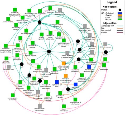 gene ontology network of 10 selected proteins proteins were analyzed download scientific