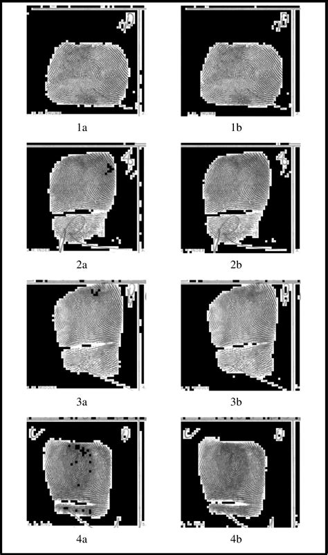 figure 1 from segmentation of fingerprint image using block wise coherence algorithm semantic