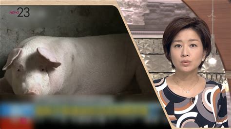 膳場貴子アイコラ潮吹きマダムモロ投稿画像